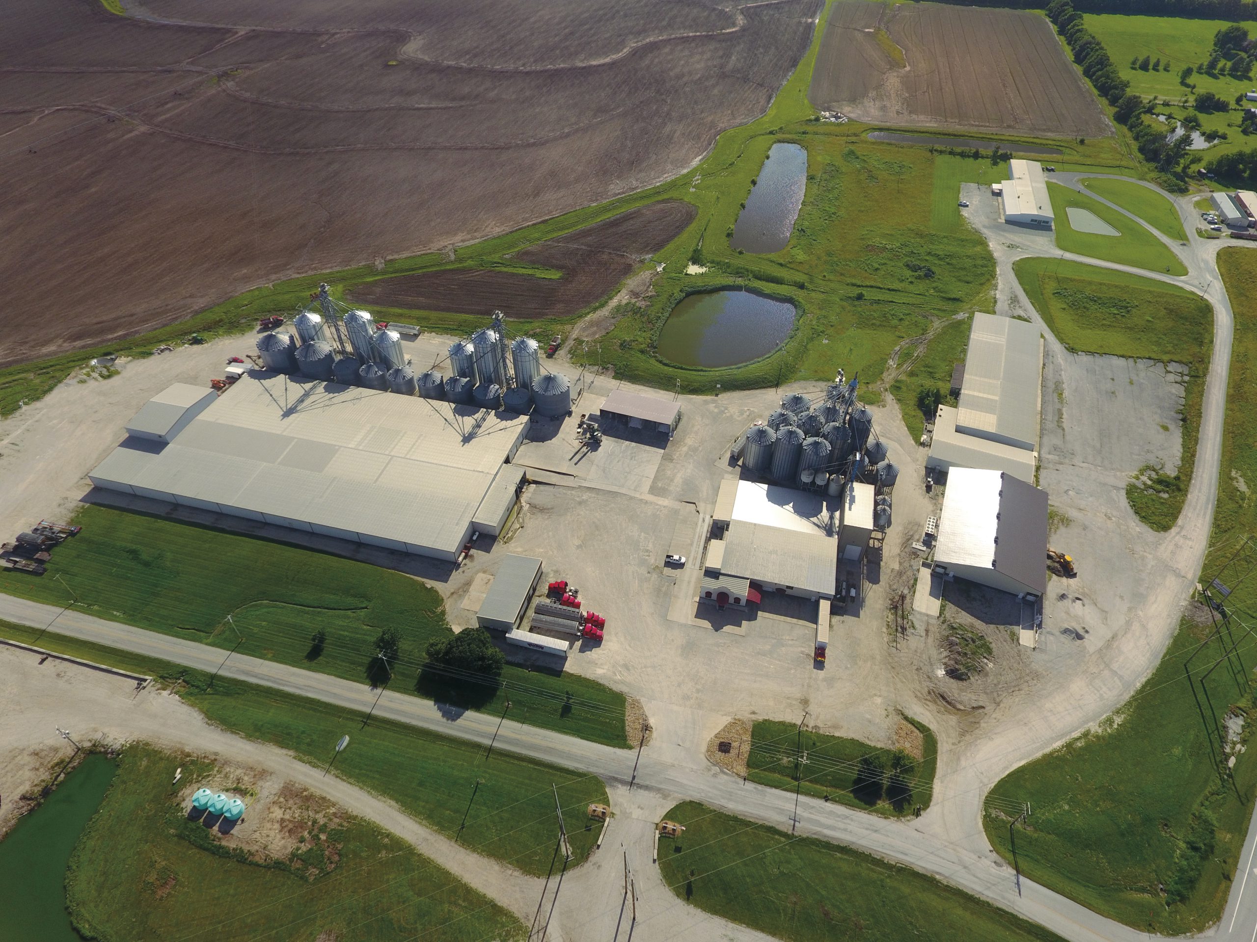 NeCo Seeds – Great Service since 1978