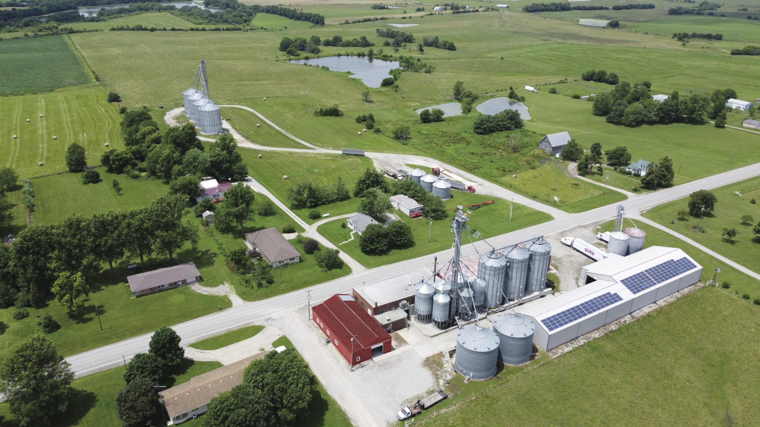 NeCo Seeds – Great Service since 1978