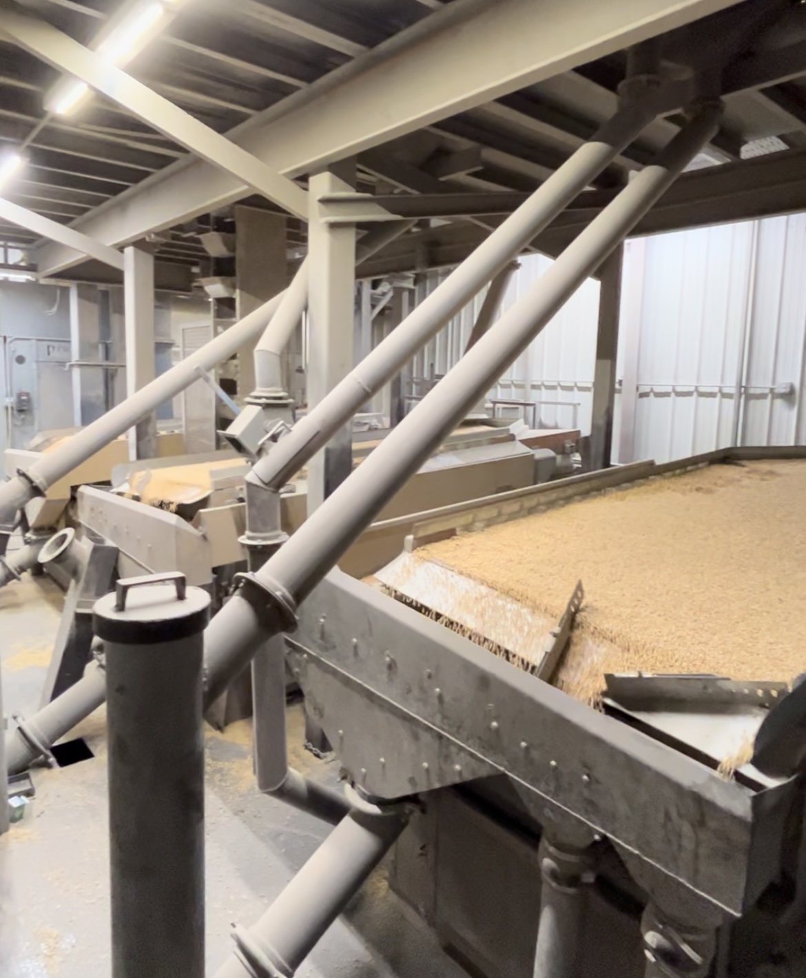Products – NeCo Seeds